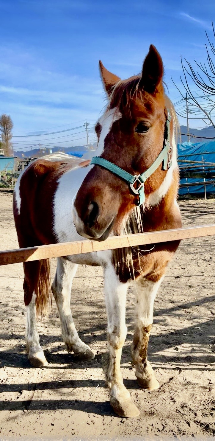 2026年 新年のご挨拶 | 三建工業株式会社